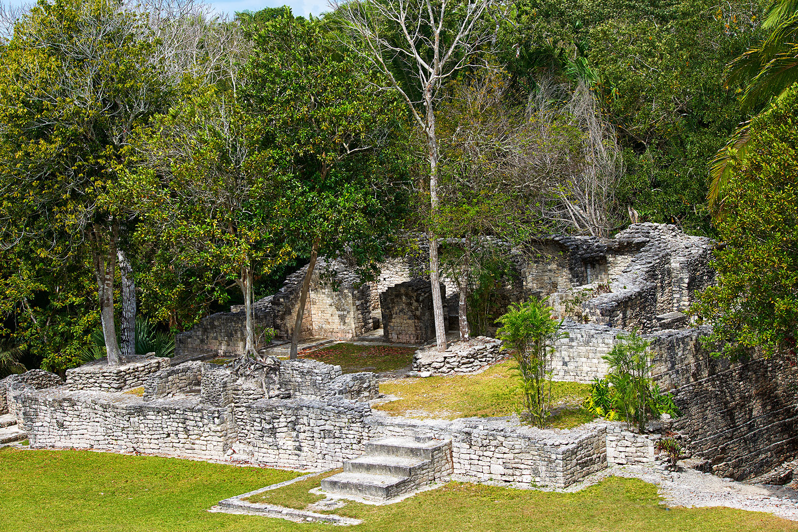 Costa Maya's Kohunlich Ruins Tour
